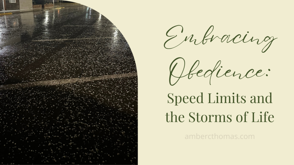 Embracing Obedience: Speed Limits and the Storms of Life - amber c thomas
